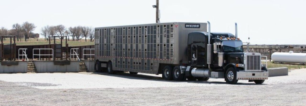 Olson Farms Inc. | A fifth-generation family-owned and operated farming ...