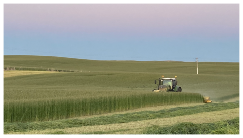 About Us | Olson Farms Inc.